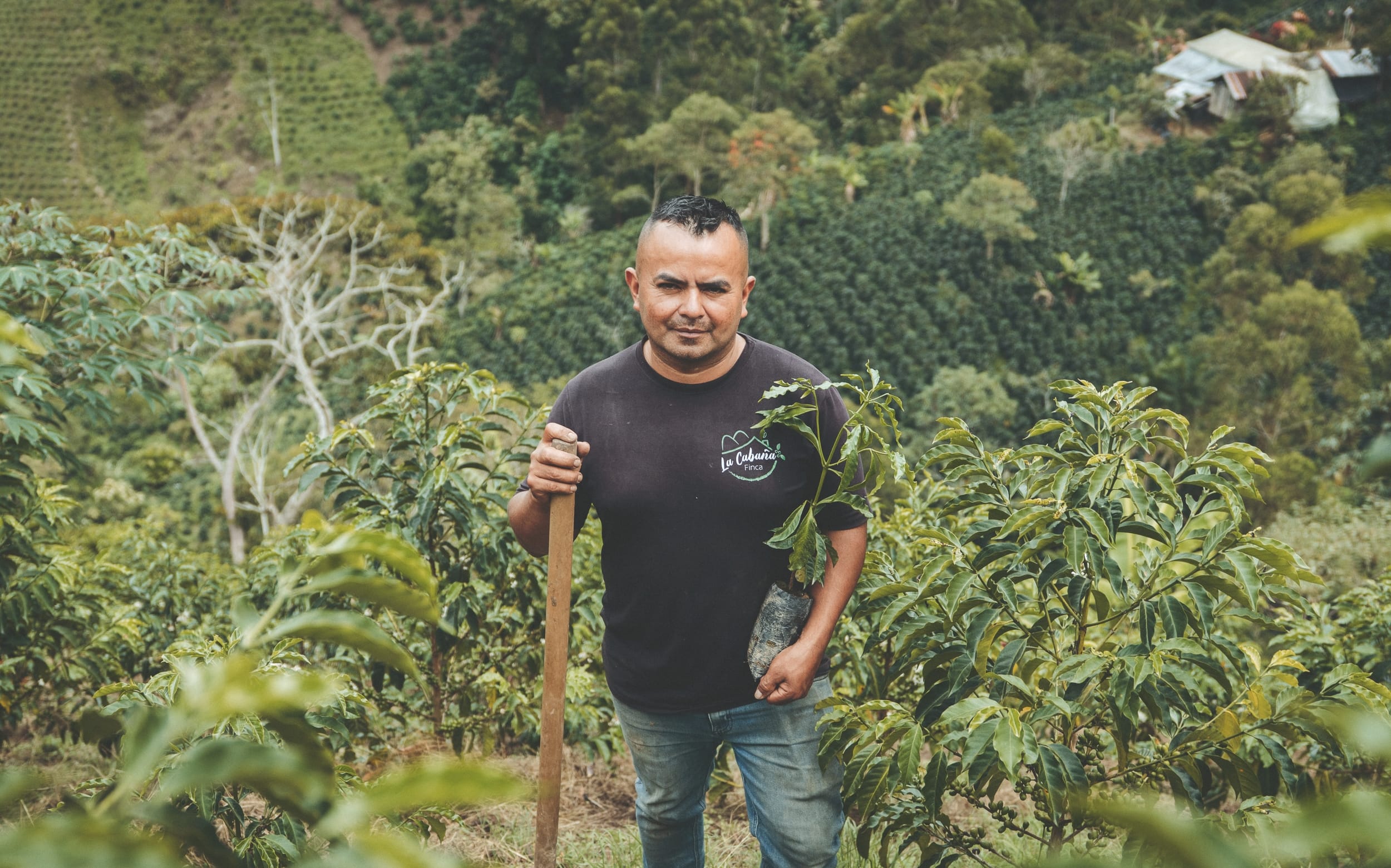 Finca La Cabaña – William Ortiz, Huila | San Agustín